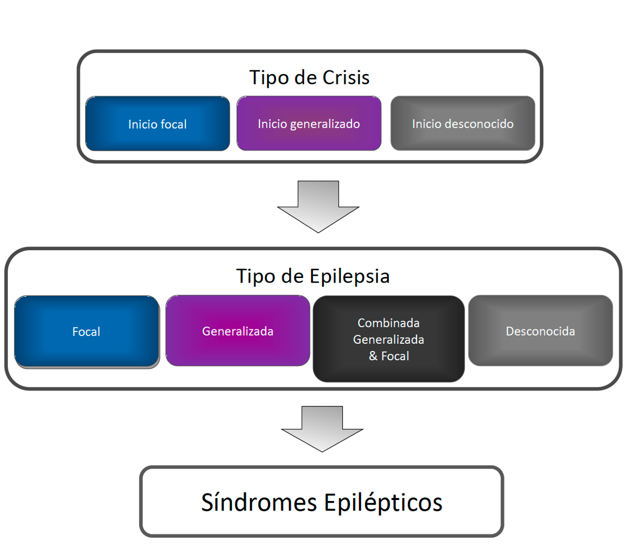 ¿Qué es la Epilepsia? ¿Qué es la Epilepsia?
